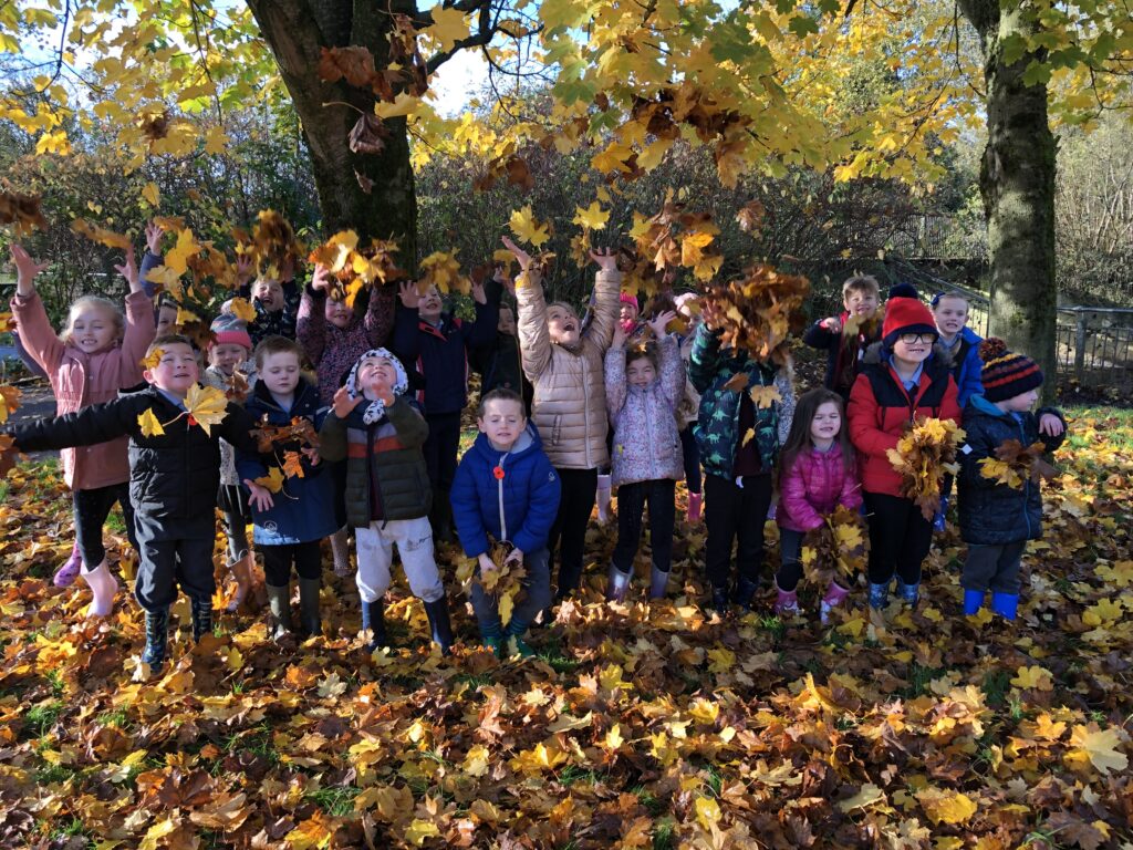 Year 2 Classes - Damhead Primary School